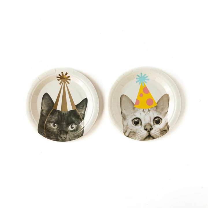 Partycat – party-pets