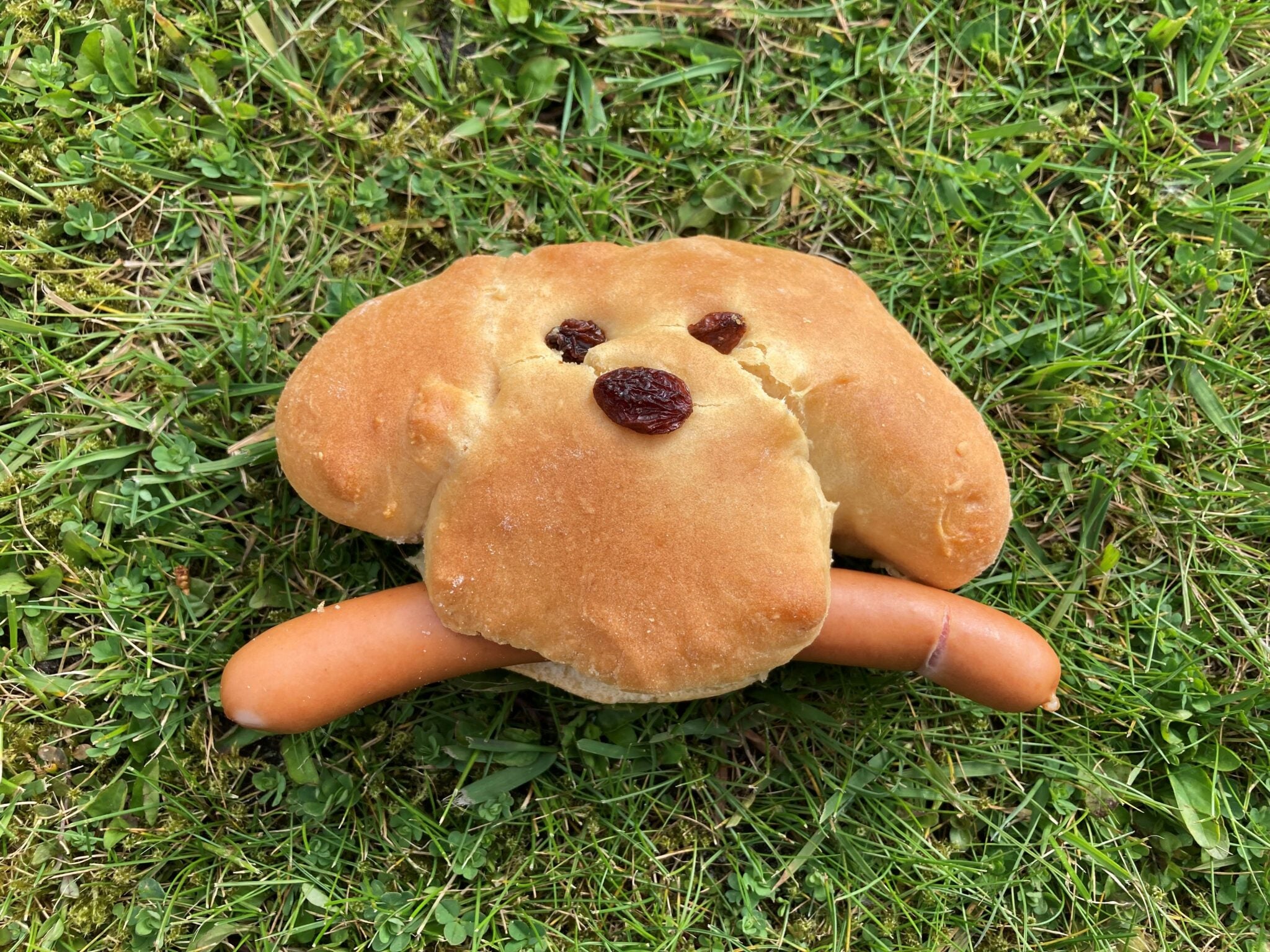 Hundebrötchen – party-pets